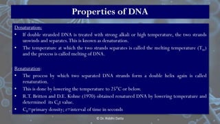 Basics of DNA Structure | PDF