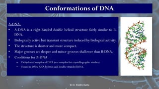 Basics of DNA Structure | PDF