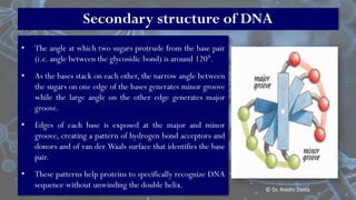 Basics of DNA Structure | PPT