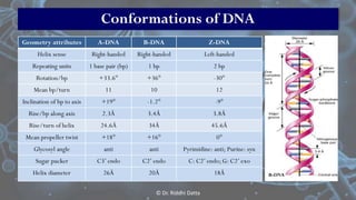 Basics of DNA Structure | PPT