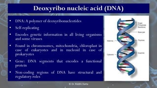 Basics of DNA Structure | PPT