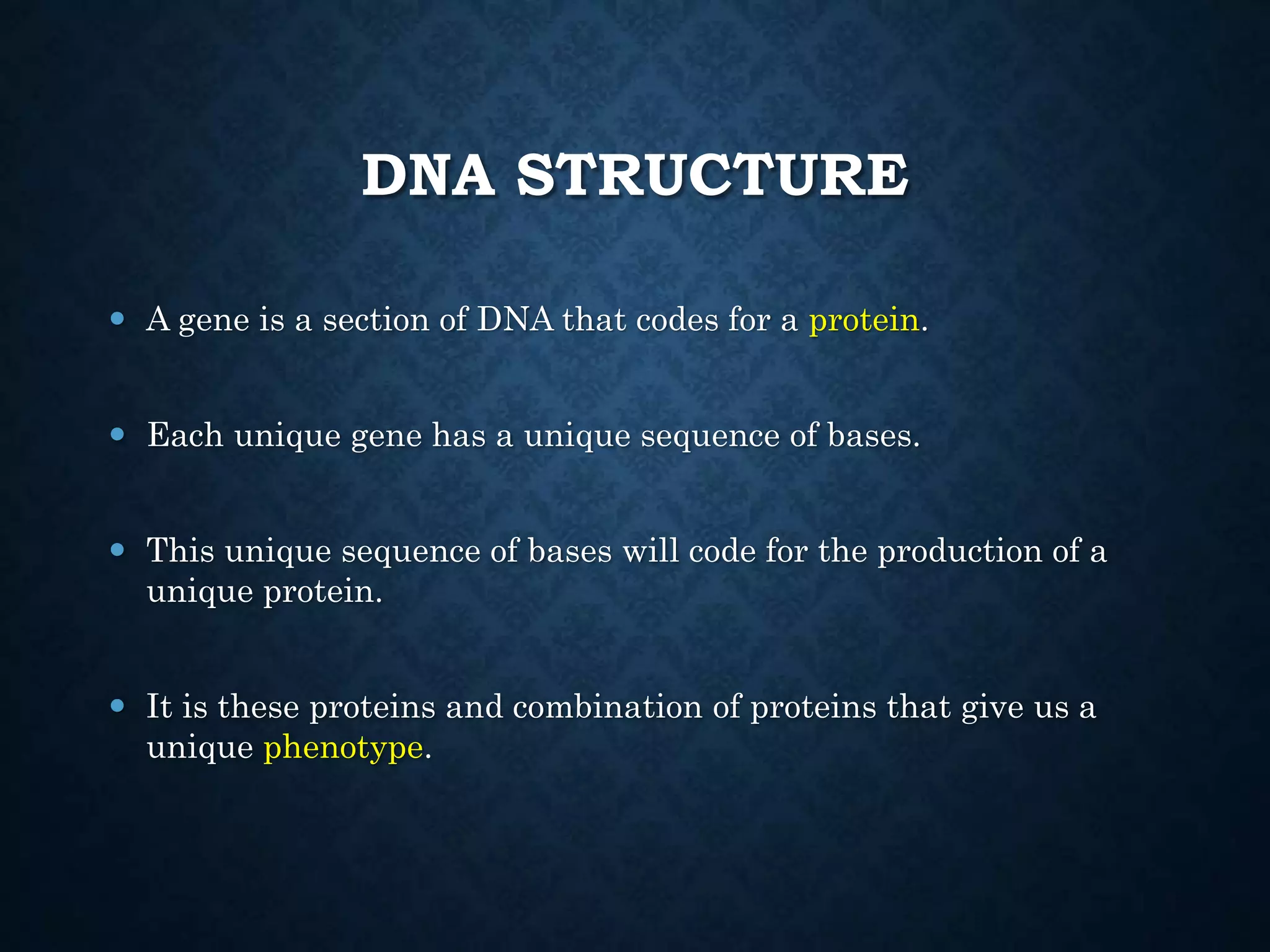 DNA Structure.ppt