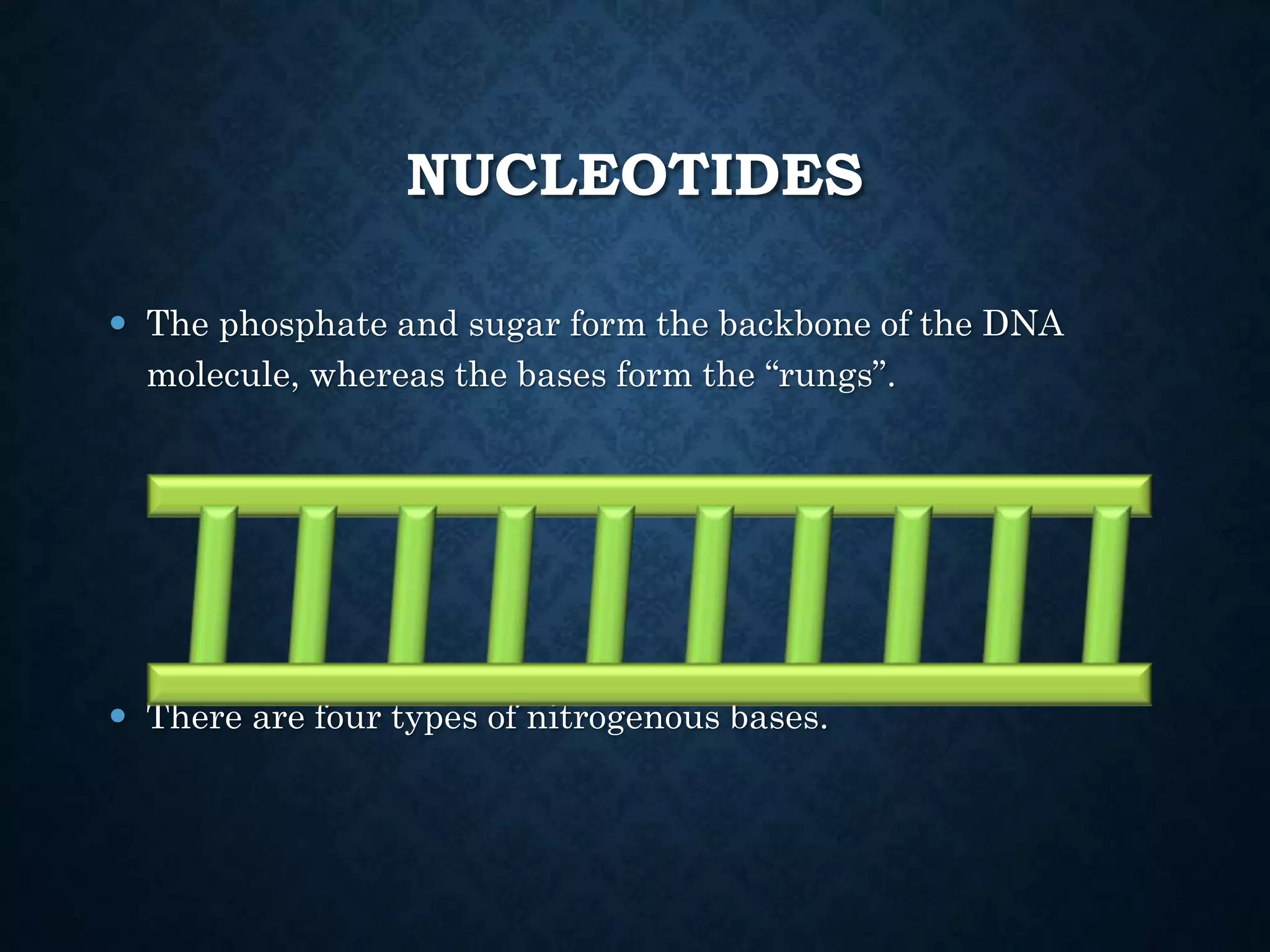 DNA Structure.ppt