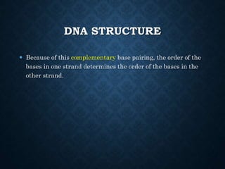 DNA Structure.ppt