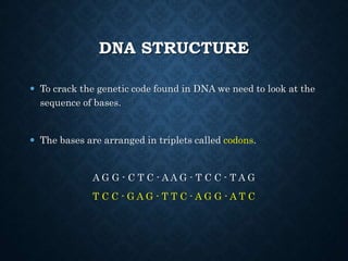 DNA Structure.ppt