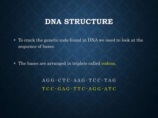 DNA Structure.ppt
