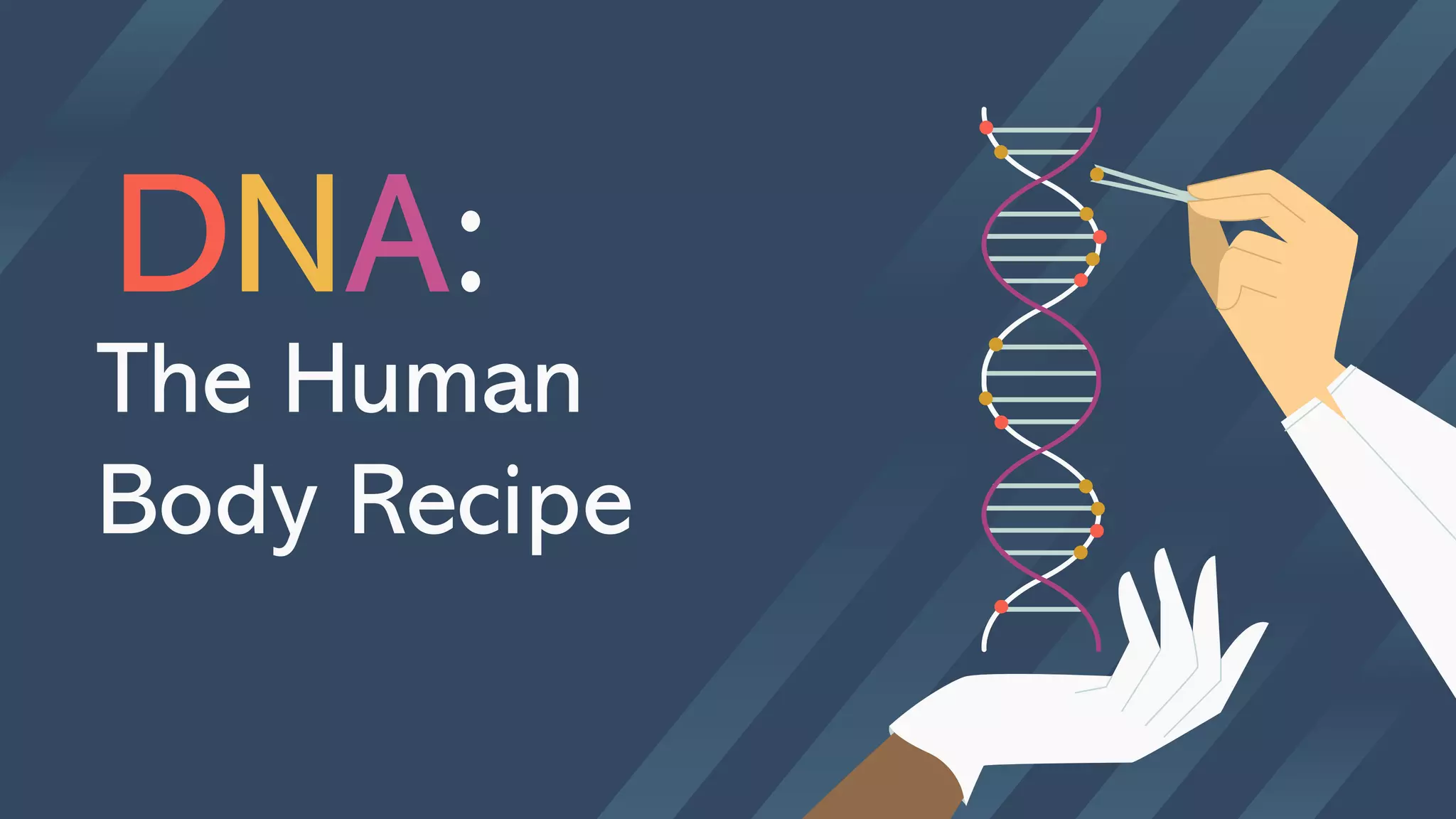 DNA structure.pptx | Chemistry | Science