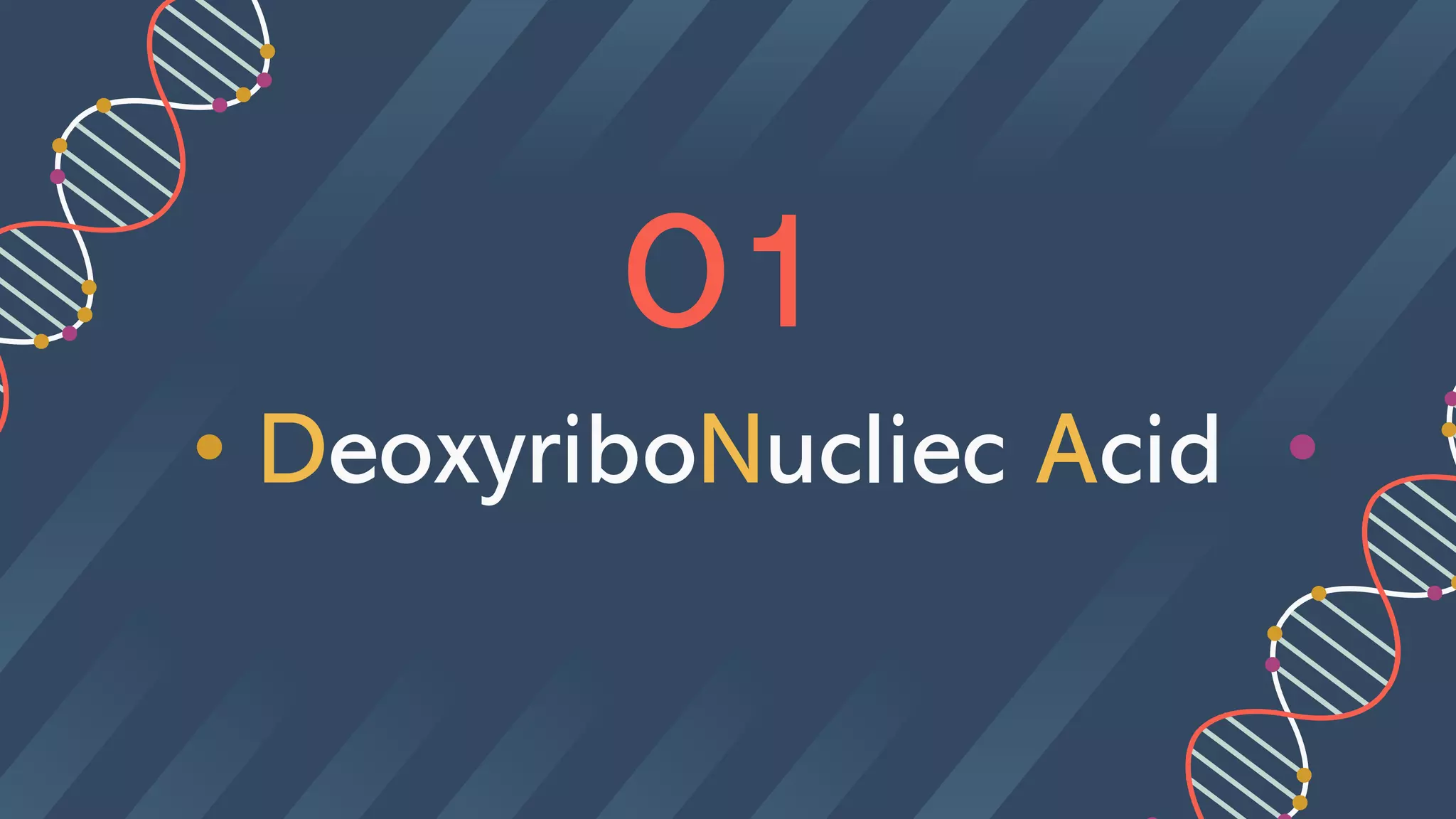 DNA structure.pptx | Chemistry | Science