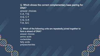 DNA structure.pptx | Chemistry | Science
