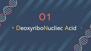 DNA structure.pptx | Chemistry | Science