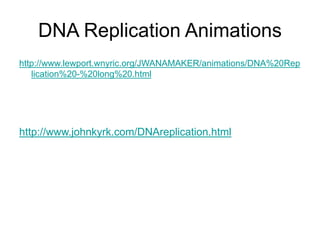 DNA Structure.ppt