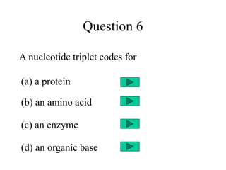 DNA structure | PPT