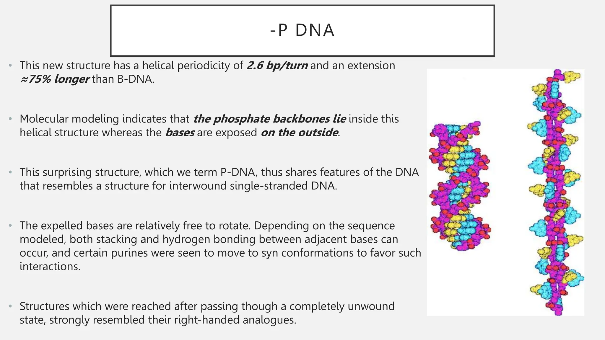 DNA STRUCTURE AND THEIR DIFFERENT TYPES.pptx