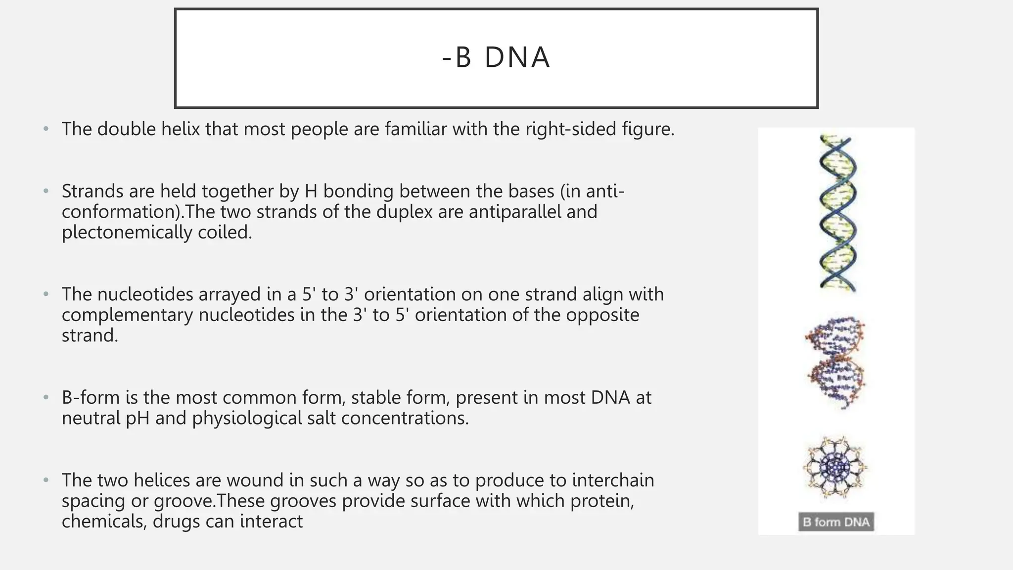 DNA STRUCTURE AND THEIR DIFFERENT TYPES.pptx