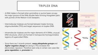 DNA STRUCTURE AND THEIR DIFFERENT TYPES.pptx