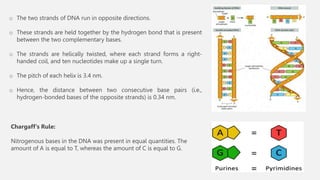 DNA STRUCTURE AND THEIR DIFFERENT TYPES.pptx