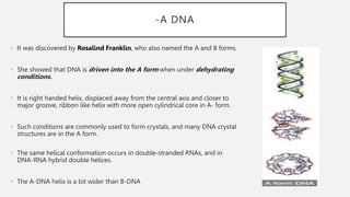 DNA STRUCTURE AND THEIR DIFFERENT TYPES.pptx