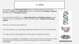 DNA STRUCTURE AND THEIR DIFFERENT TYPES.pptx