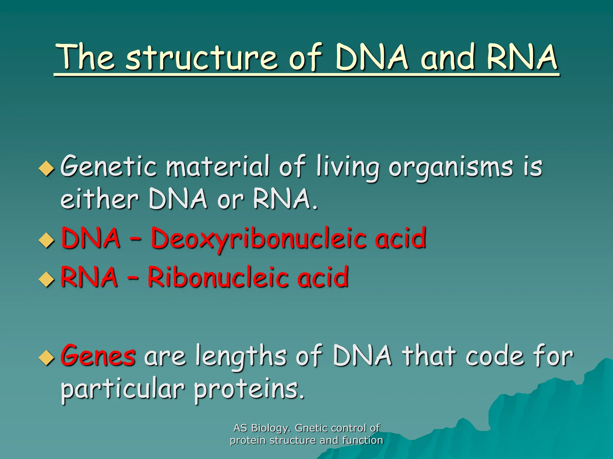 DNA structure.ppt