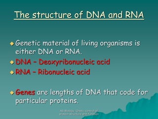 DNA structure.ppt
