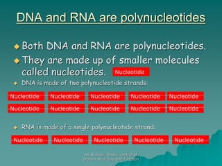 DNA structure.ppt