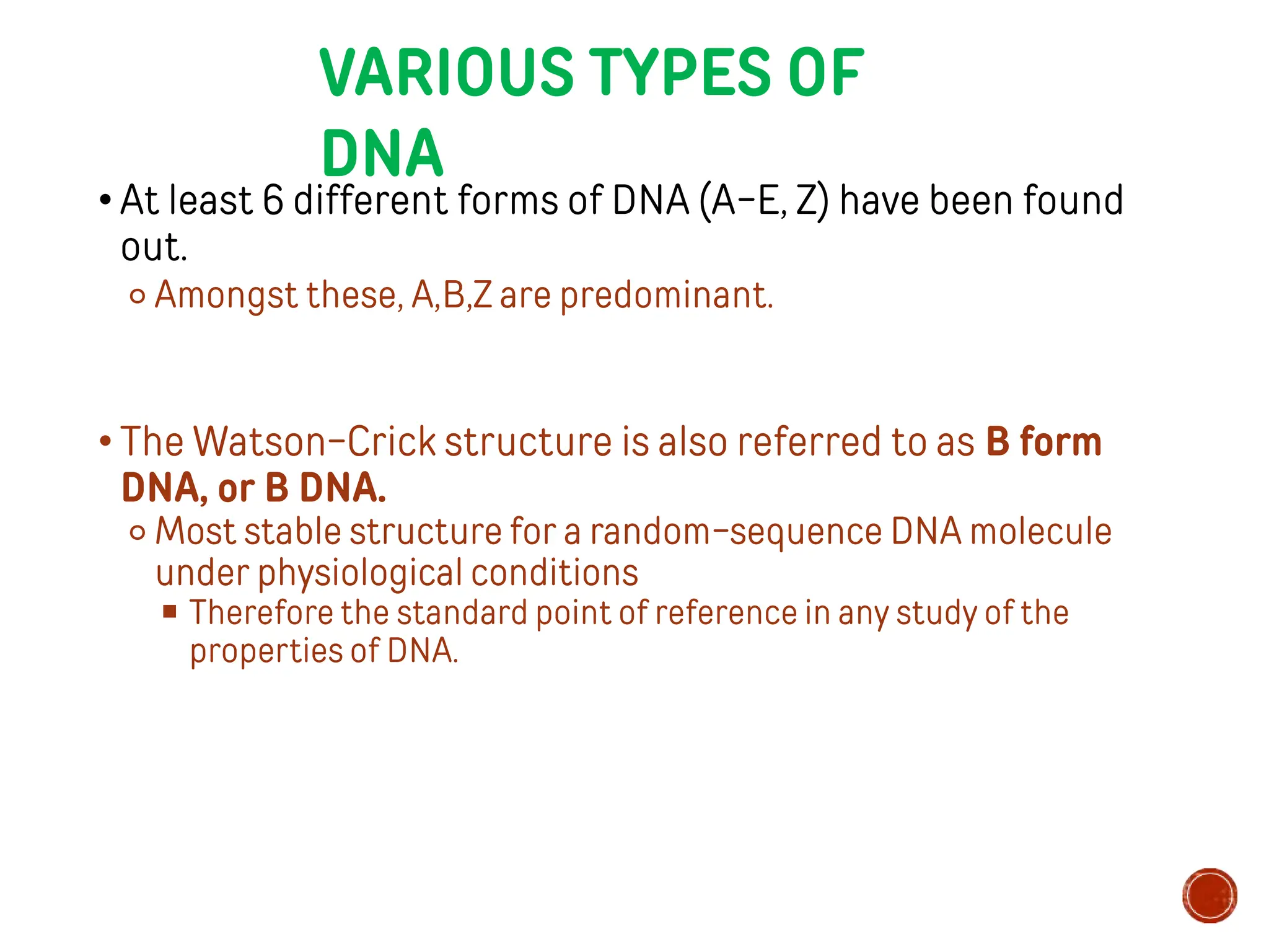 DNA STRUCTURE AND INTRODUCTION TO THE REPLICATION.pptx