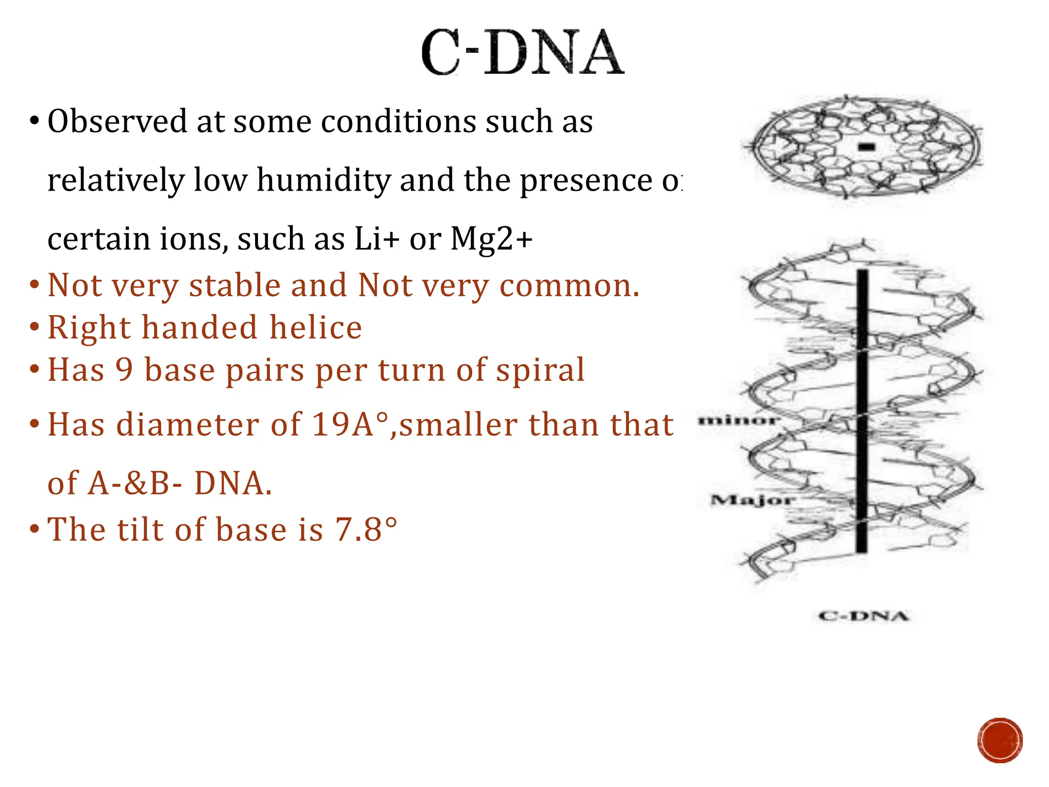 DNA STRUCTURE AND INTRODUCTION TO THE REPLICATION.pptx | Chemistry ...