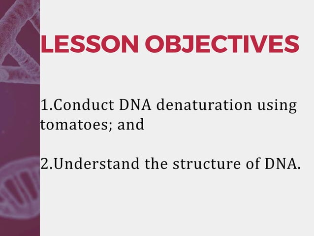 DNA STRUCTURE AND INTRODUCTION TO THE REPLICATION.pptx