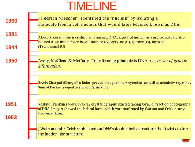 DNA STRUCTURE AND INTRODUCTION TO THE REPLICATION.pptx