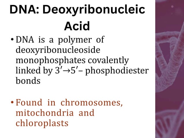 DNA STRUCTURE AND INTRODUCTION TO THE REPLICATION.pptx