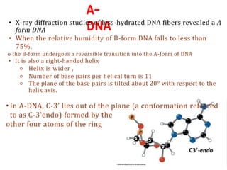 DNA STRUCTURE AND INTRODUCTION TO THE REPLICATION.pptx