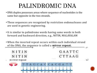 DNA STRUCTURE AND INTRODUCTION TO THE REPLICATION.pptx