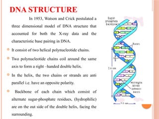 DNA Structure and its various components | PPTX