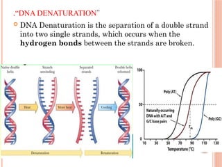 DNA Structure and its various components | PPTX | Chemistry | Science