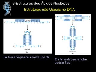Apresentação de estrutura do DNA, RNA e enzimas | PPT