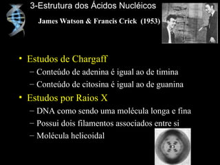 Apresentação de estrutura do DNA, RNA e enzimas | PPT