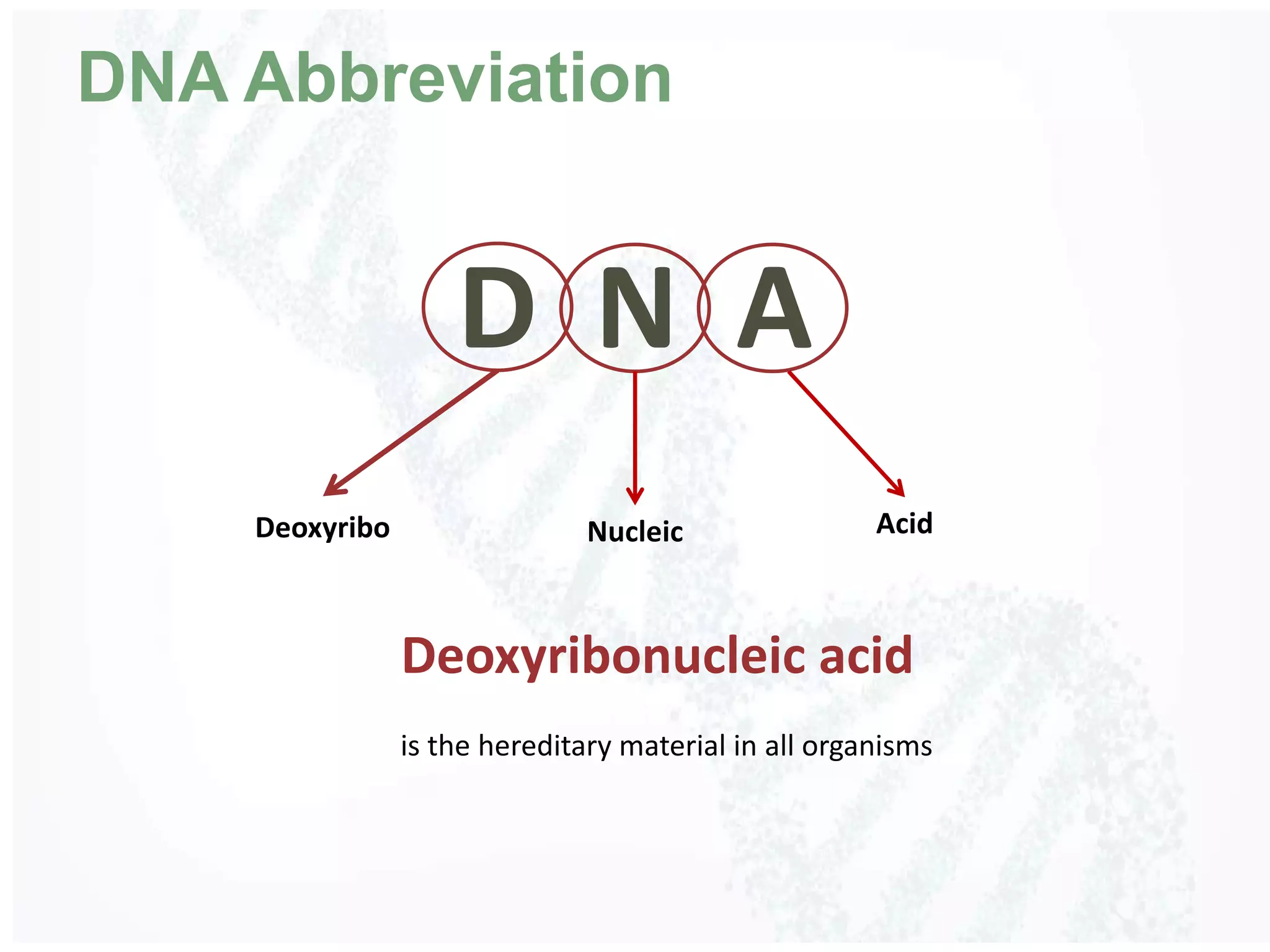 DNA structure | PPTX