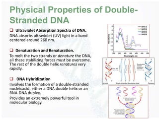 DNA structure | PPTX