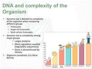 DNA structure | PPTX