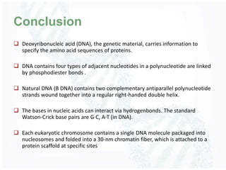 DNA structure | PPTX