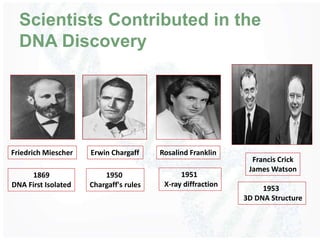 DNA structure | PPTX