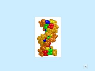 DNA STUCTURE | PPT