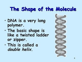 DNA STUCTURE | PPT