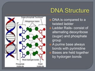 Dna structure 12.1 and 12.2 students | PPTX