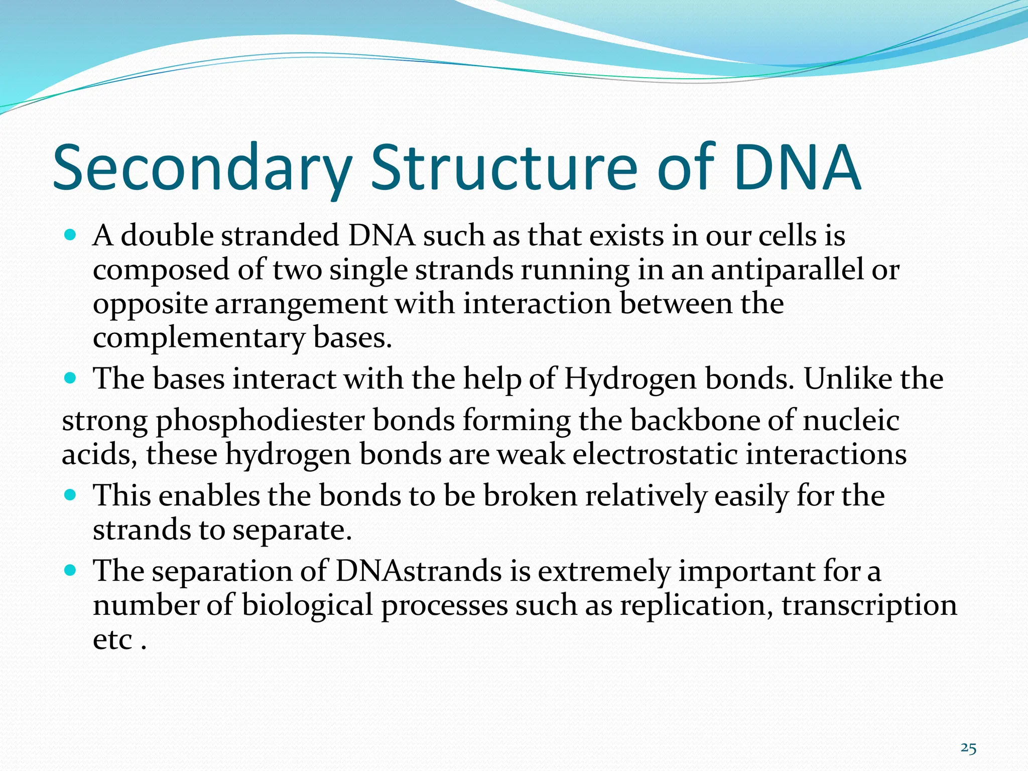 DNA structure 2.pptx molecular biology.pptx