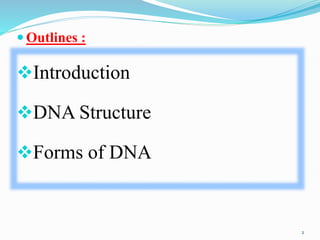 DNA structure 2.pptx molecular biology.pptx