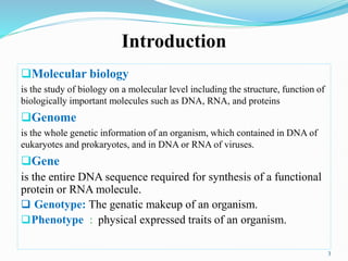 DNA structure 2.pptx molecular biology.pptx
