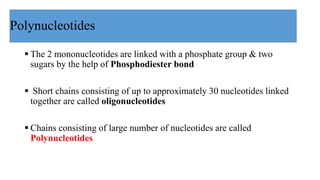 Dna structure and analysis | PPTX