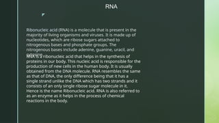 DNA structure , RNA and its types and central dogma. pptx | PPT