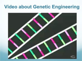 Dna structure and function (notes) | PPT